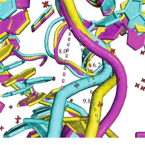 Comparative Bending Of The Sugar Phosphate Backbone Of A Substrate As Download Scientific