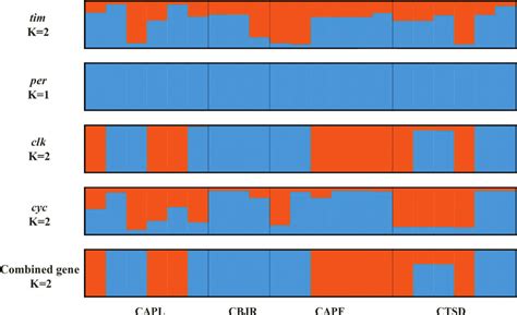 Structure Bar Plot For Best K Population Of Timeless Tim Period