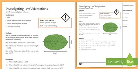 Leaf Adaptations Investigation Science Instruction Sheet