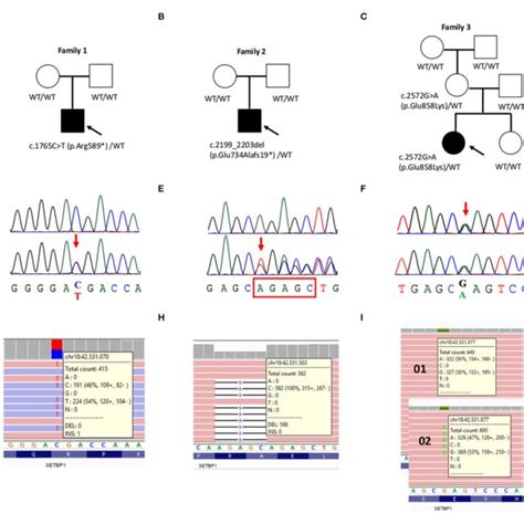 Validation And Segregation Analysis Of The Three Likely Pathogenic Download Scientific