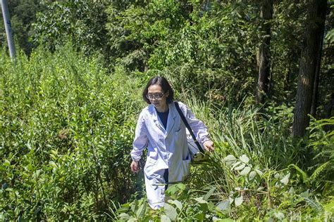 “中国最美乡村医生”李晓燕：21年如一日守护村民健康 湖北日报新闻客户端