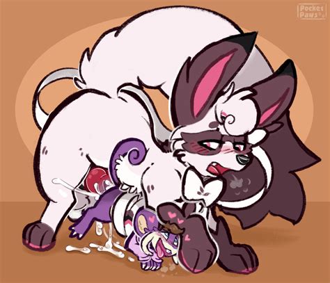 Post Nickit Pocketpaws Porkyman Rattata