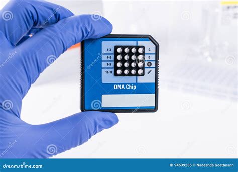 Scientist With Dna Sequencing Chip Medical Laboratory Stock Image