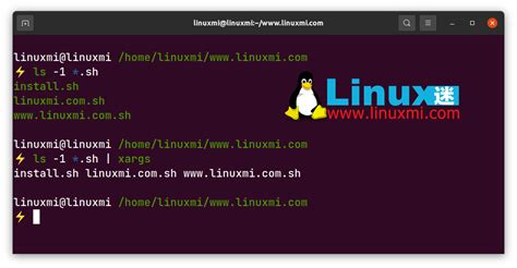 如何在 Linux 中使用 Tee 和 Xargs 从标准输入运行命令 Linux迷
