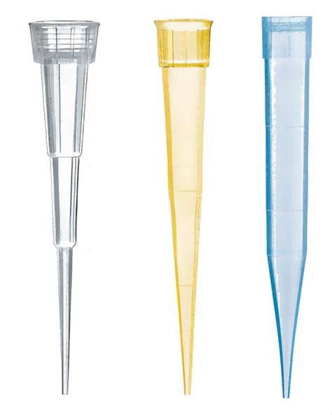 Lipofectamine™ Rnaimax Transfection Reagent