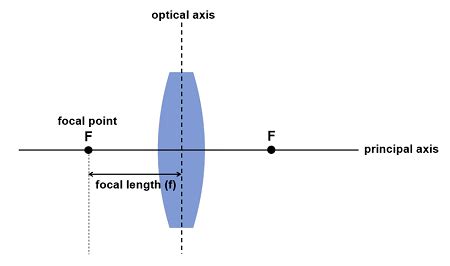 Lens In Physics Definition Anatomy And Refraction