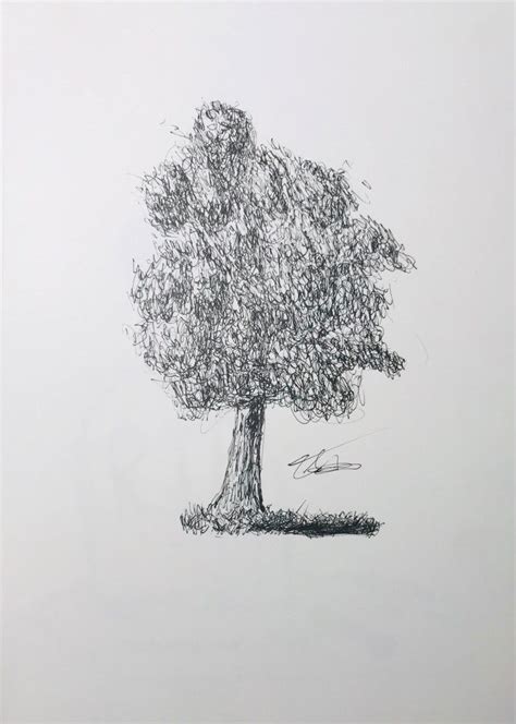 Simple Tree Drawing