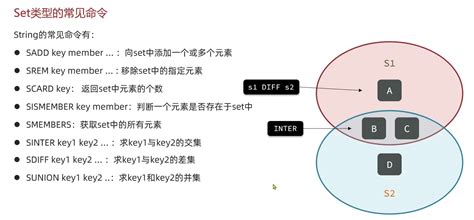 Redis的基本用法快速入门redis怎么使用 Csdn博客