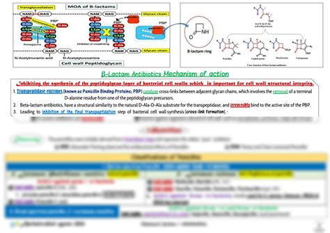Solution Classification Of Antimicrobial Agents Studypool