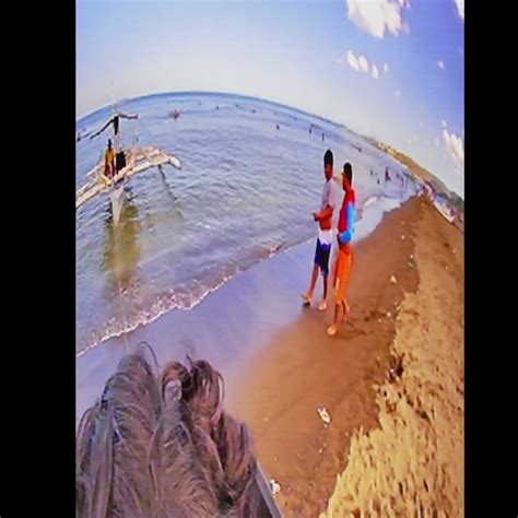 Detectron2 Instance Segmentation Dataset By Thesisseer