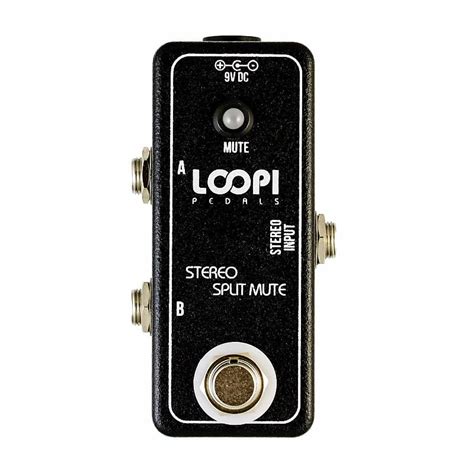Loopi Pedals Stereo Splitter Mute Switch Pedal Reverb