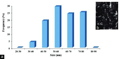 Particle Size Distribution A And Scanning Electron Microscope B Of