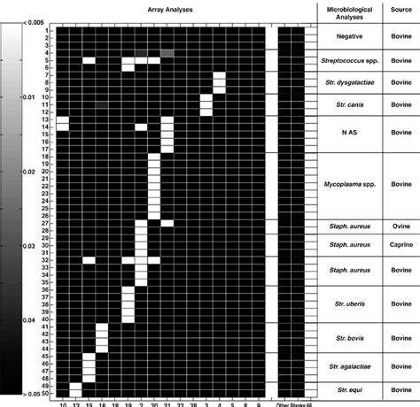 Heat Map Of Unadjusted P Values For Ligation Detection Reaction Download Scientific Diagram