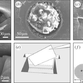 Steps Of The FIB Specimen Procedure A The Indentation In The Gasket Download Scientific