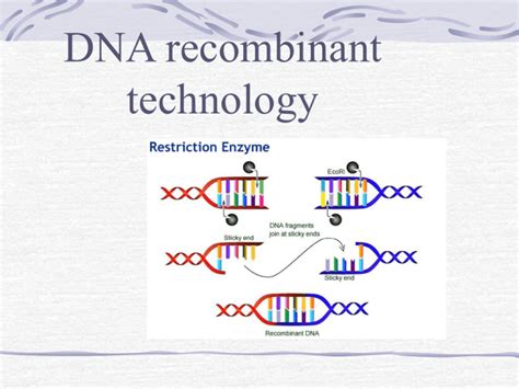 Definition Of Dna Recombinant Technology