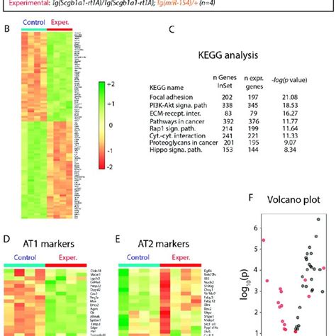 Gene Array Analysis Performed On Isolated At2 Samples A Model Of