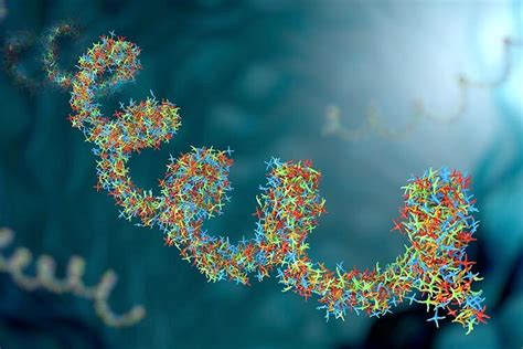 Coarse Grained Rna Modeling What It Is Tecscience