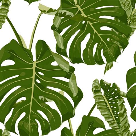 Monstera Pattern Summer Design For Swimwear Vector Image
