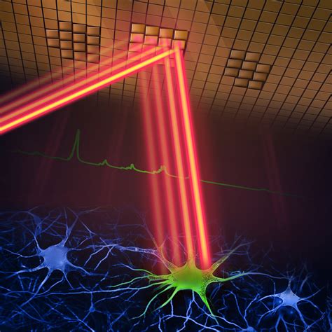 Enhanced Two Photon Microscopy Method Could Reveal Insights Into Neural