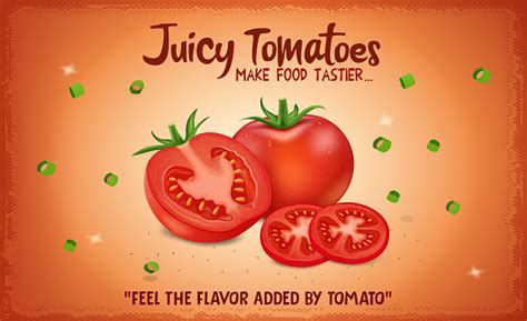 신선한 토마토 벡터 일러스트 레이 션과 토마토의 절반 조각과 갈색 배경에 조각 건강한 식생활에 대한 스톡 벡터 아트 및 기타 이미지 건강한 식생활 고추류 날것