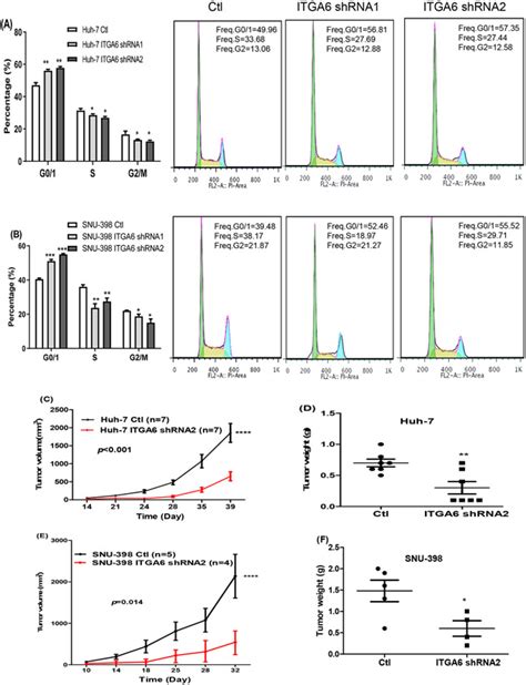 Integrin Alpha 6 Itga6 Is Upregulated And Drives Hepatocellular Carcinoma Progression Through