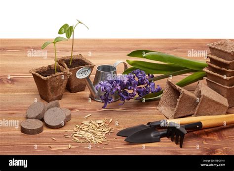Gardening Tools And Seedlings Stock Photo Alamy