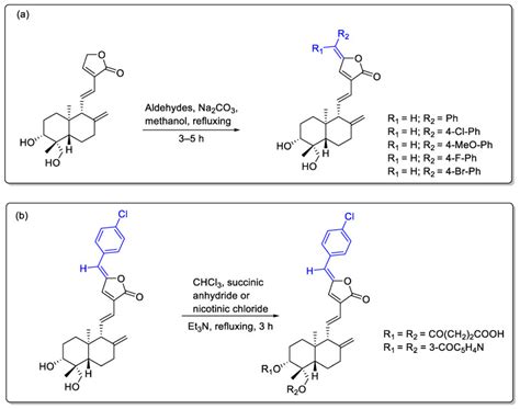 Synthetic Modifications Of Andrographolide Targeting New Potential Anticancer Drug Candidates A