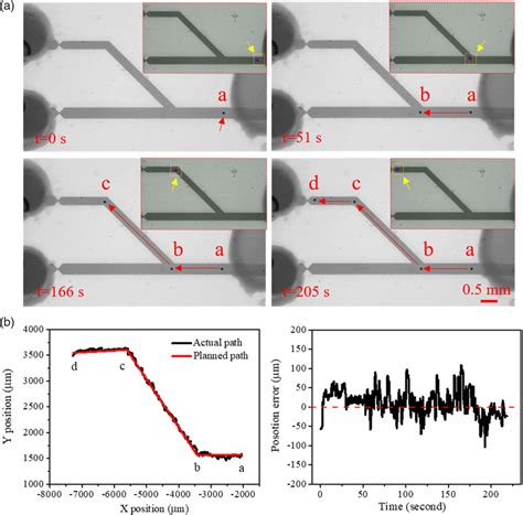 Automatic Navigation Of The Magnetic Microrobot In A Y‐shaped Download Scientific Diagram