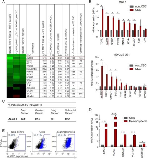 high throughput microarray data from breast cancer cell lines a