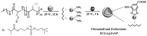 Ultra Small Particle Size Zwitterionic Polypeptide Gallic Acid Iron Coordination Nanoparticle As
