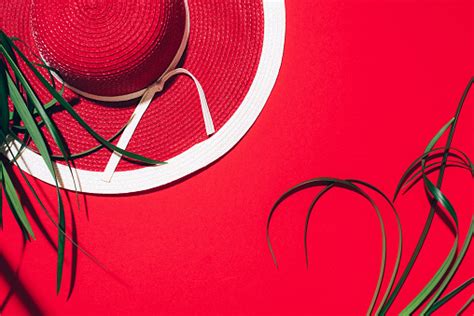 여성의 여름 빨간 모자 열대 야자수와 몬스터는 복사 공간이종이 배경에 나뭇잎 상단보기 평평한 누워 여름 여행 및 휴가 개념 바로 위에 대한 스톡 사진 및 기타 이미지