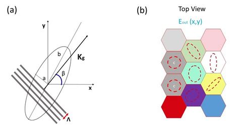 Spin Orbit Angular Momentum Conversion In Metamaterials And Metasurfaces