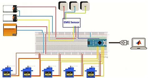 Electrical Diagram Connection Of Experimental Platform For Human Hand Download Scientific