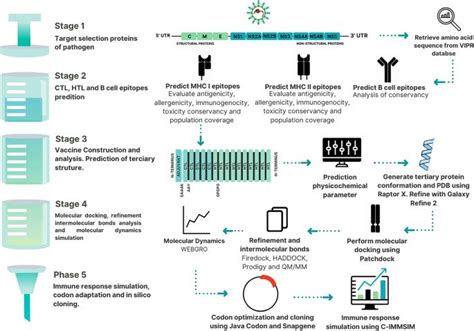 Nicolas Castillo On Linkedin Advancing Molecular Modeling And Reverse