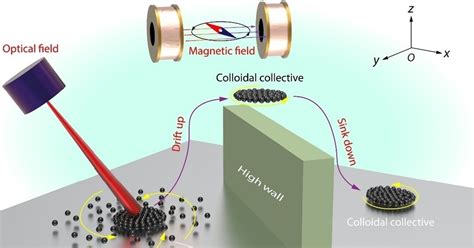 Bioinspired Self Assembled Colloidal Collectives Drifting In Three Dimensions Underwater