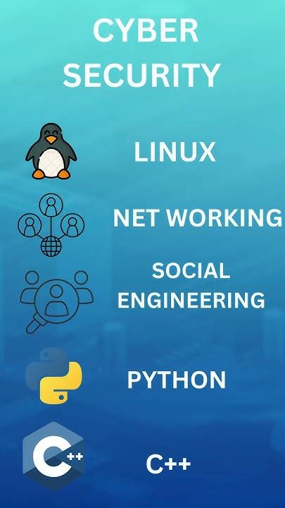 Skills Required For Different Job Roles Coderstech Tech