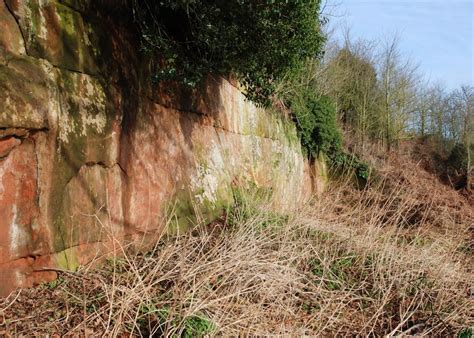 About Matthew Blakely