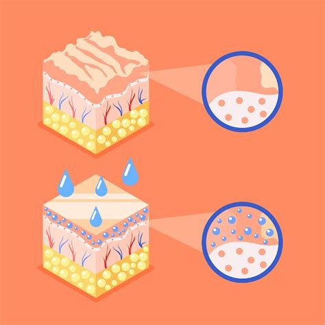 피부 구조 레이어를 나타내는 프로필 보기 큐브의 구성이 있는 히알루론산 아이소메트릭 배경 라운드 아이콘 벡터 일러스트 레이 션 무료 벡터