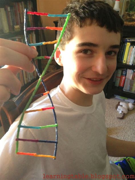 Hands On Science Dna Learning Table Artofit