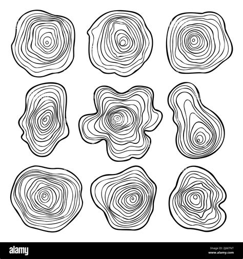 Cut Of Tree Trunk Abstract Tree Rings Set Wavy Rings Of Life Concentric Hand Drawn Circles