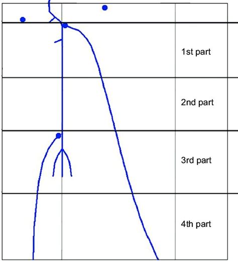 Scheme Of The Novel Venous Mapping Download Scientific Diagram Map