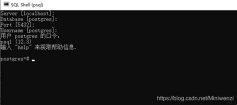Windows64位 Timescaledbpostgresql12安装教程windows Time如何安装64位 Csdn博客