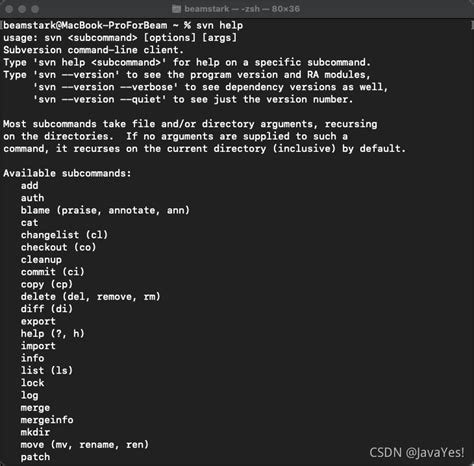 手把手教你macos如何安装svnmacos Svn Csdn博客