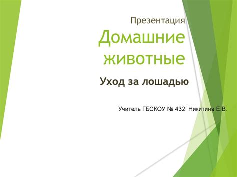 Домашние животные Уход за лошадью Online Presentation