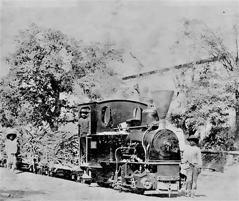 Narrow Gauge Steam Locomotive With A Sugar Cane Train Picryl Public