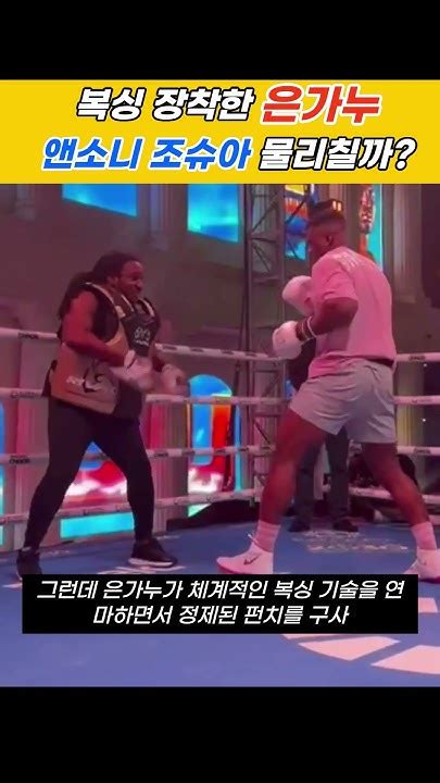 복싱 기술까지 장착한 은가누 앤소니 조슈아 물리칠까 Youtube