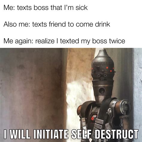 Initiate Self Destruct R Memes