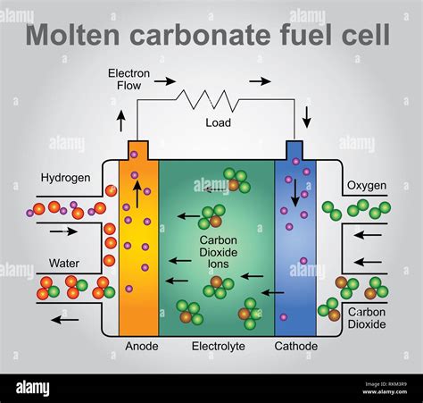 Fuel Cell Schematic Diagram At Sophie Catani Blog