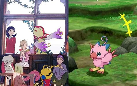 Digimon Biyomon Wallpapers Wallpapers Com