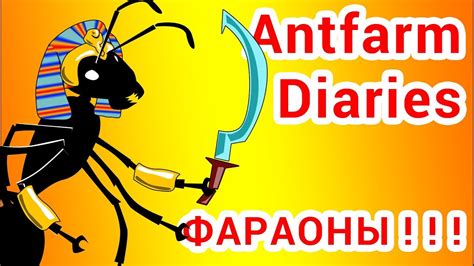 Спешите видеть! Гнездо фараоновых муравьев!!! (Monomorium pharaonis ...